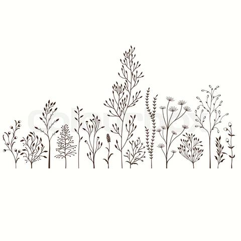 Stock foto af tegning, blomst, enkel | Colourbox